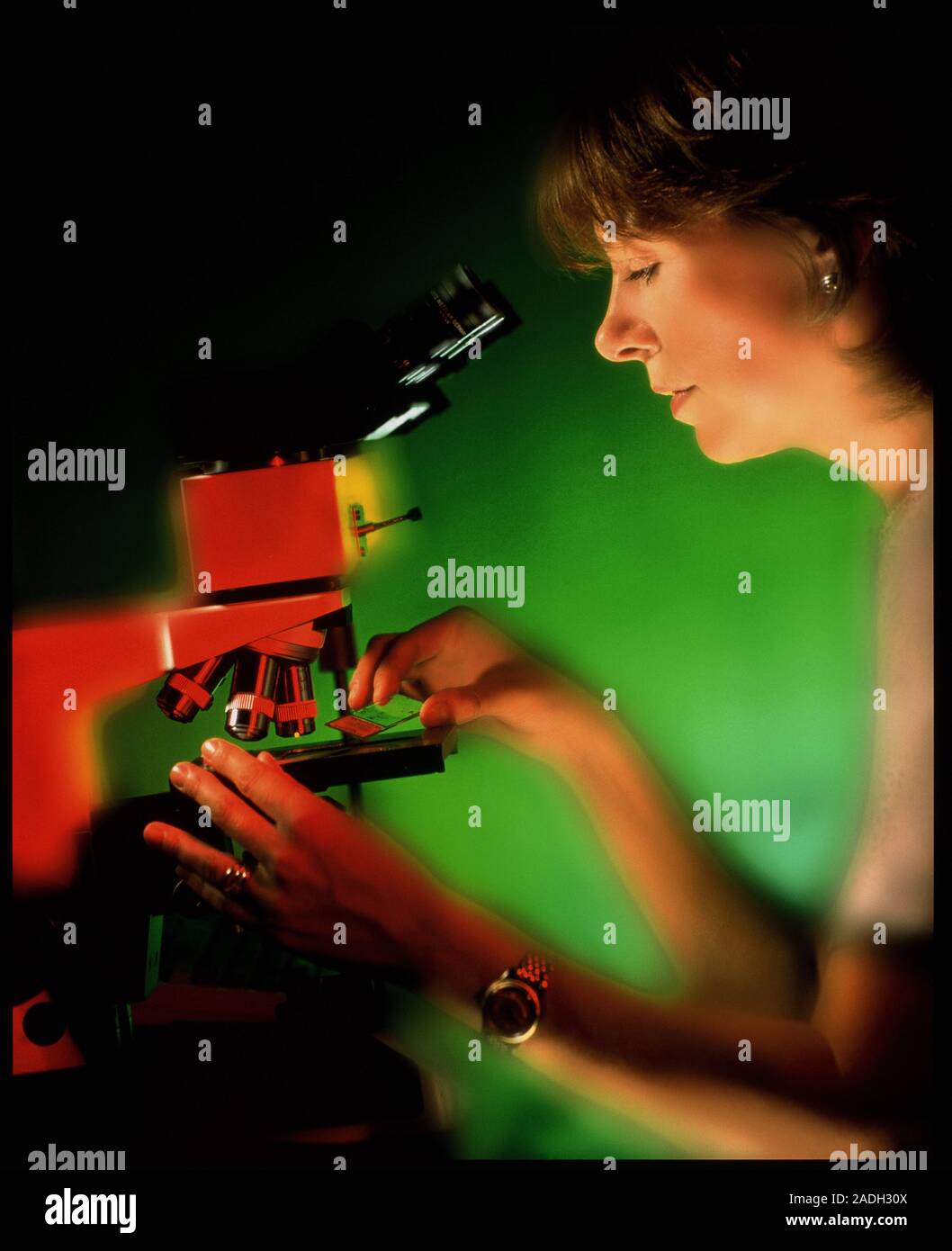 Optical microscope. Technician placing a slide on the stage of an ...