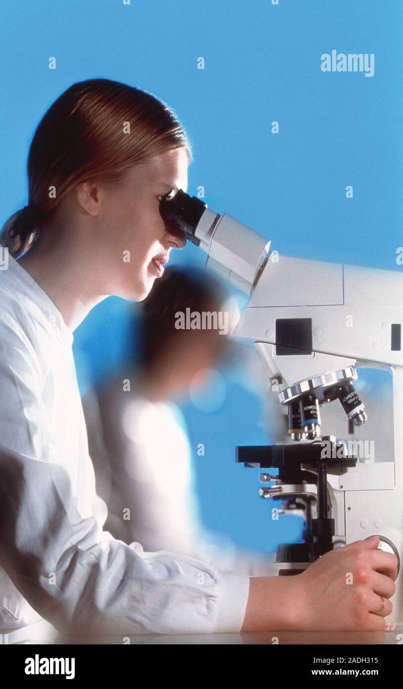 Light microscopy. Researcher operating a light or optical microscope ...