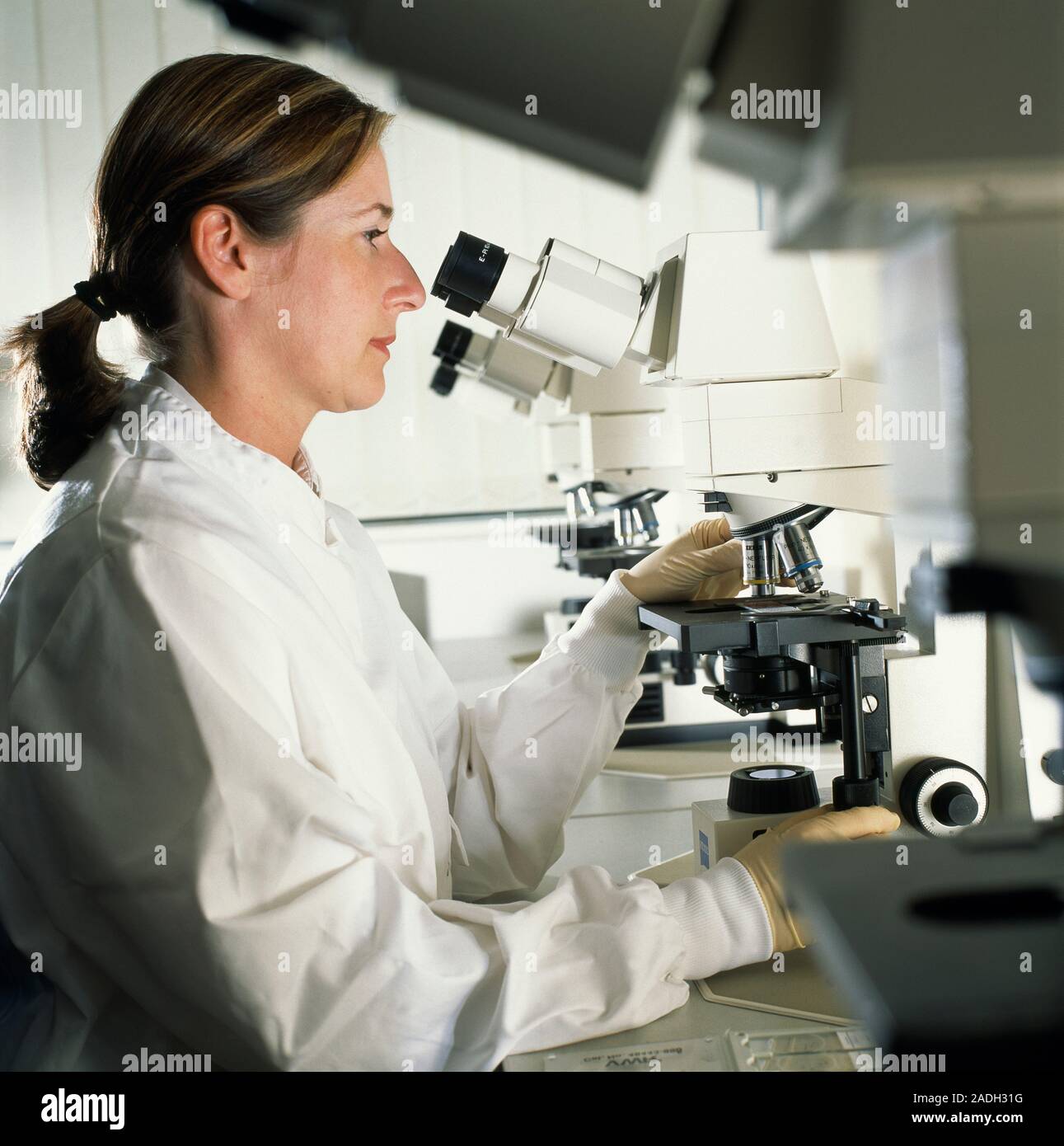 Light microscopy. Technician using a light (optical) microscope to ...