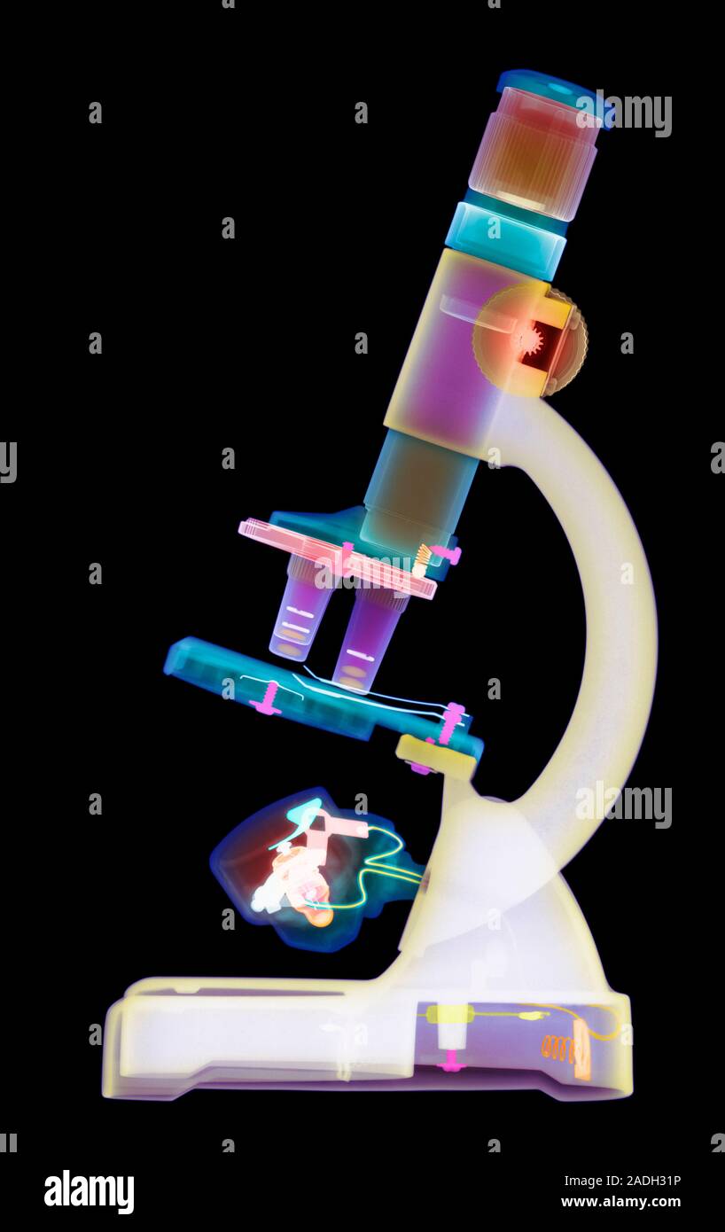 Optical microscope, coloured X-ray. The viewing lens (eyepiece, top ...