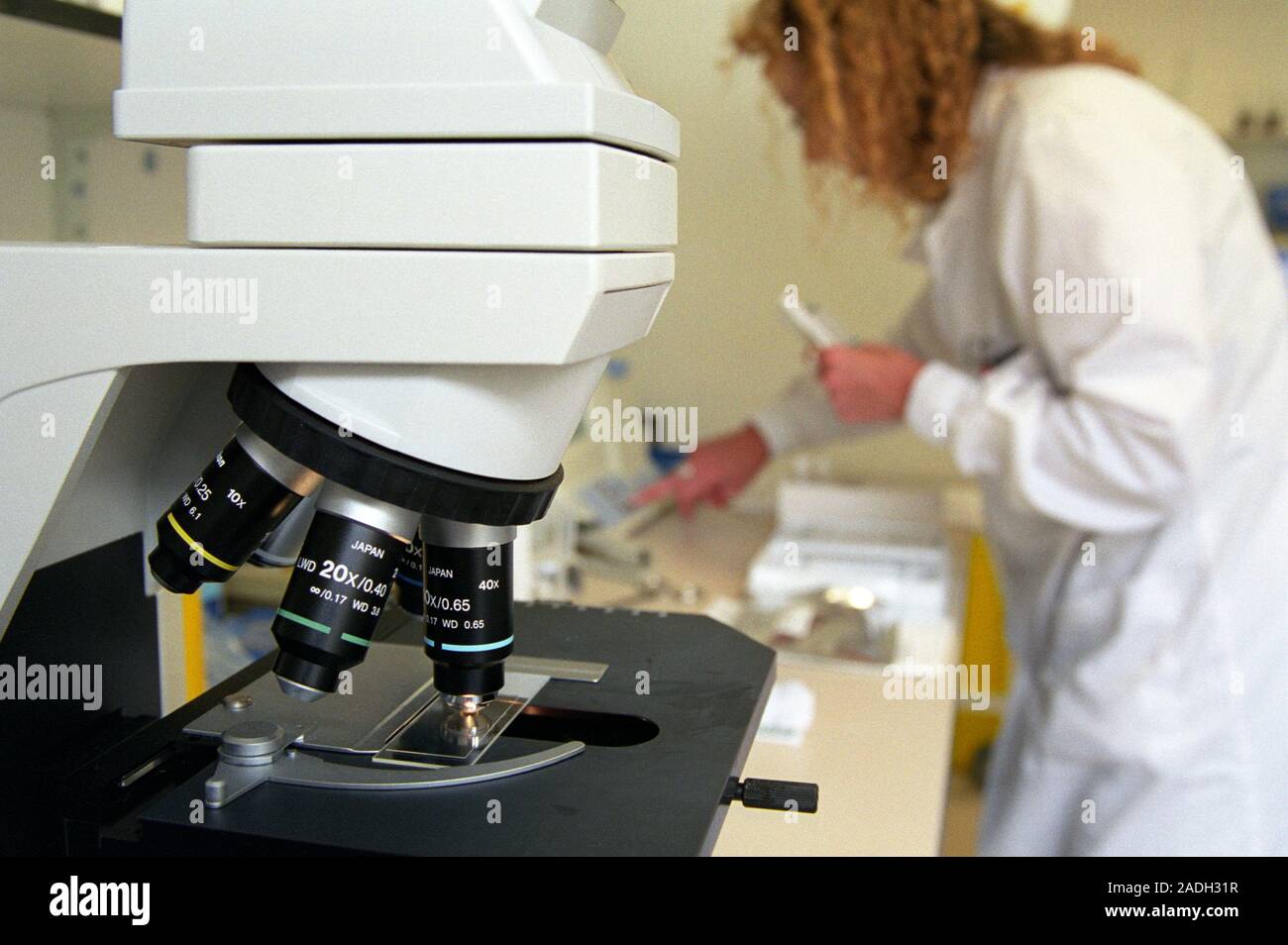 Light microscopy. Stage and objective lenses of a light (optical ...