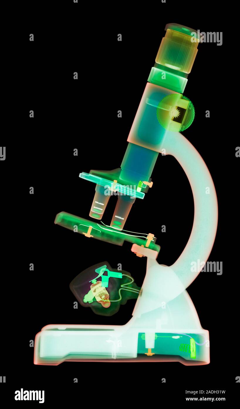 Optical microscope, coloured X-ray. The viewing lens (eyepiece, top ...