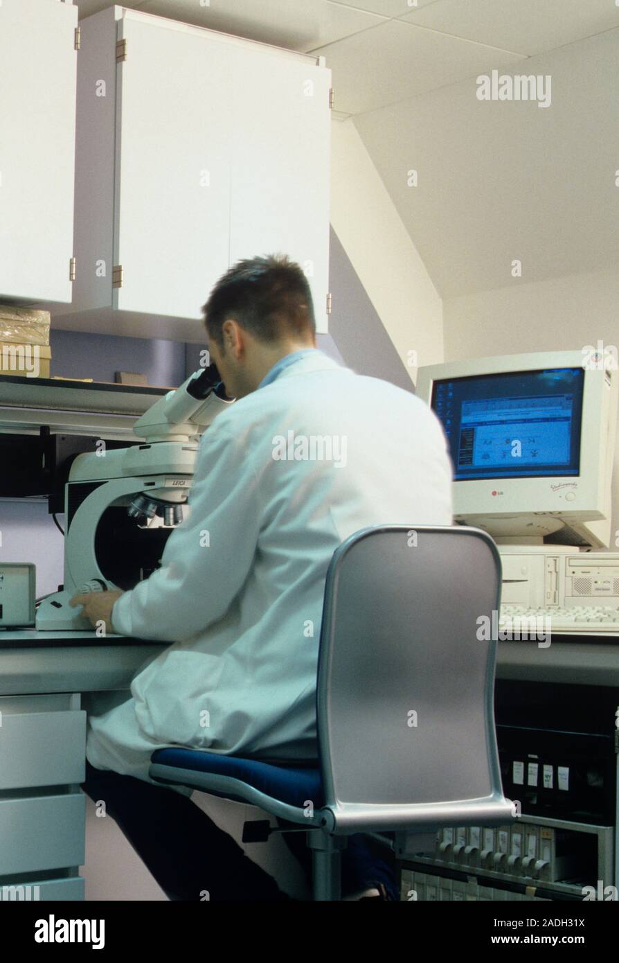 Laboratory research. Light microscope being used by a researcher in a ...