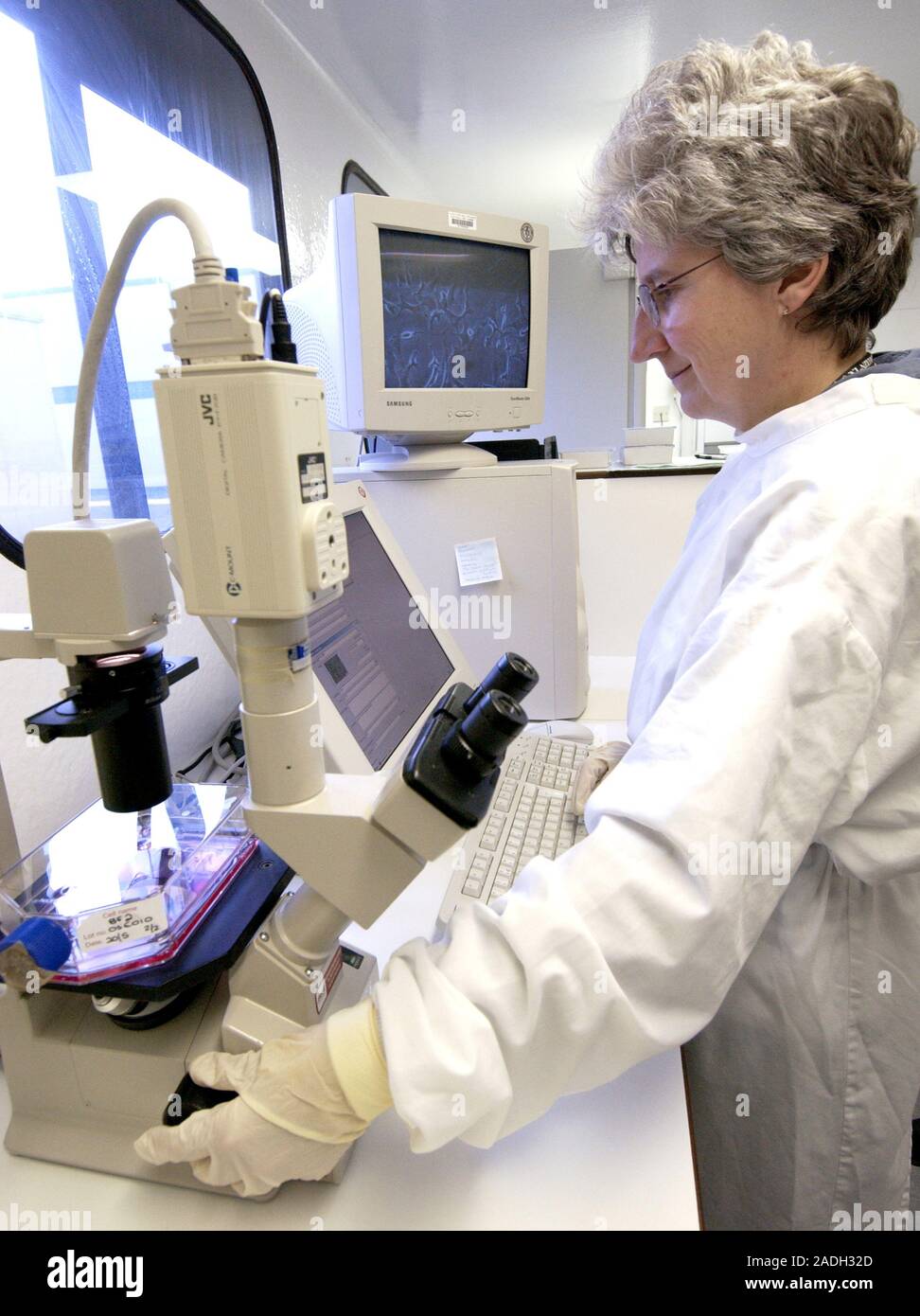 MODEL RELEASED. Light microscope. Scientist using a light microscope to ...