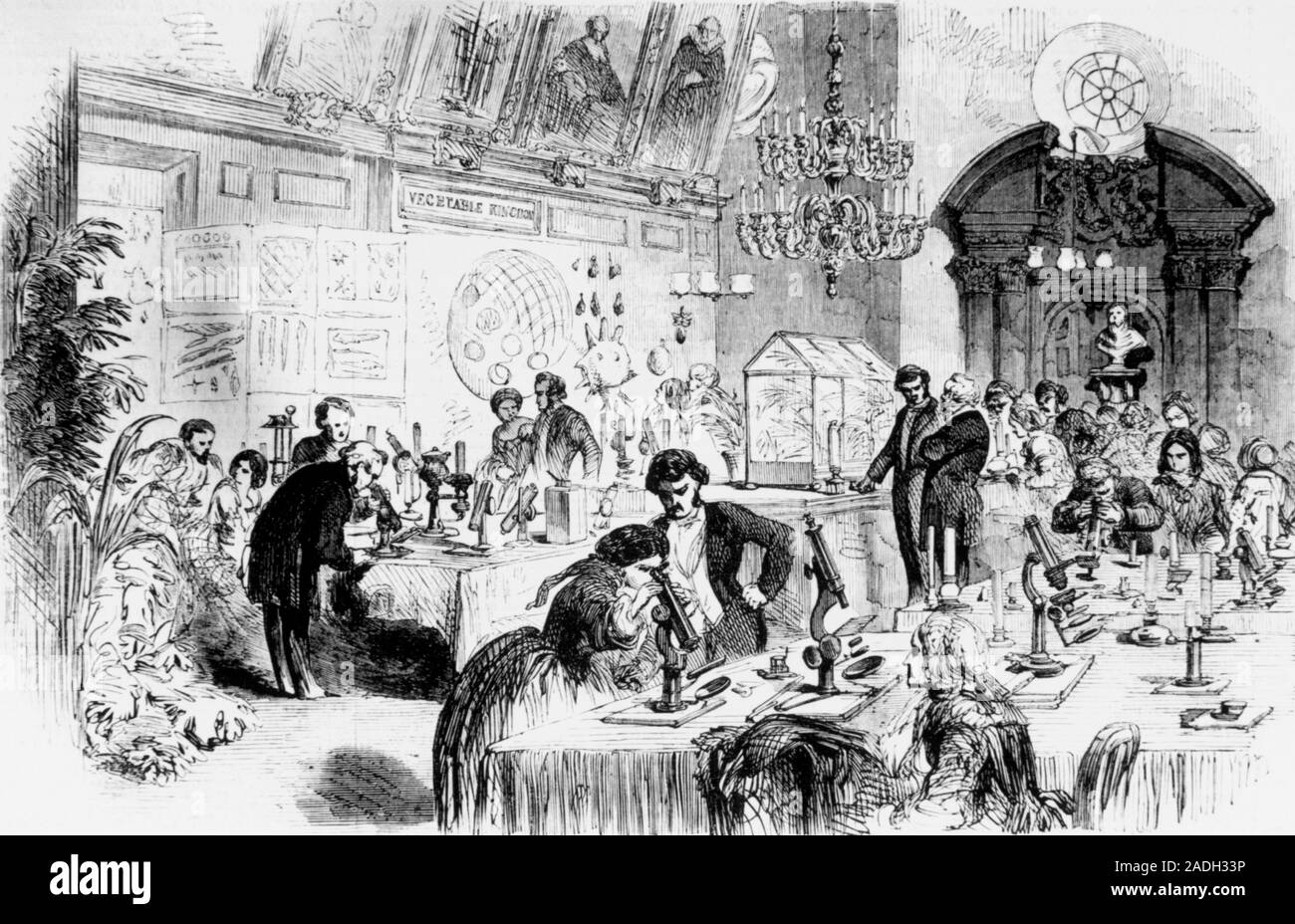 Microscope exhibition. Engraving of a microscope exhibition held during ...