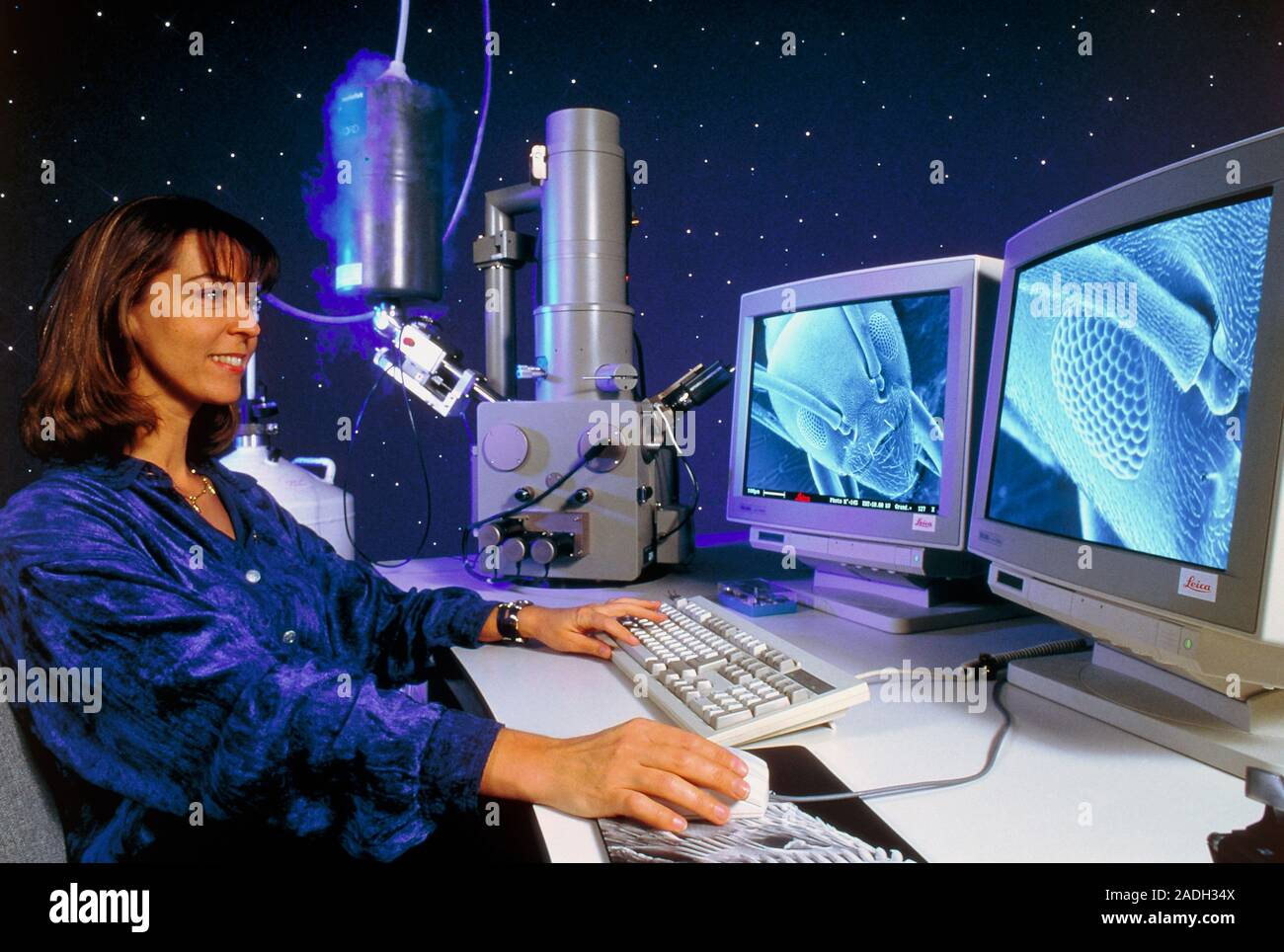 Scanning electron microscope. Researcher using a scanning electron ...