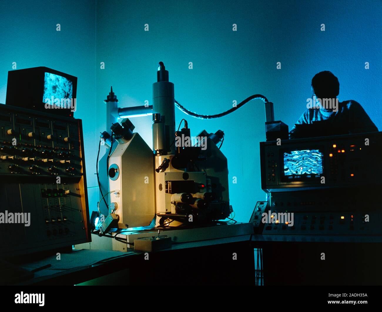 Scanning electron microscopy. Analyst with a scanning electron ...