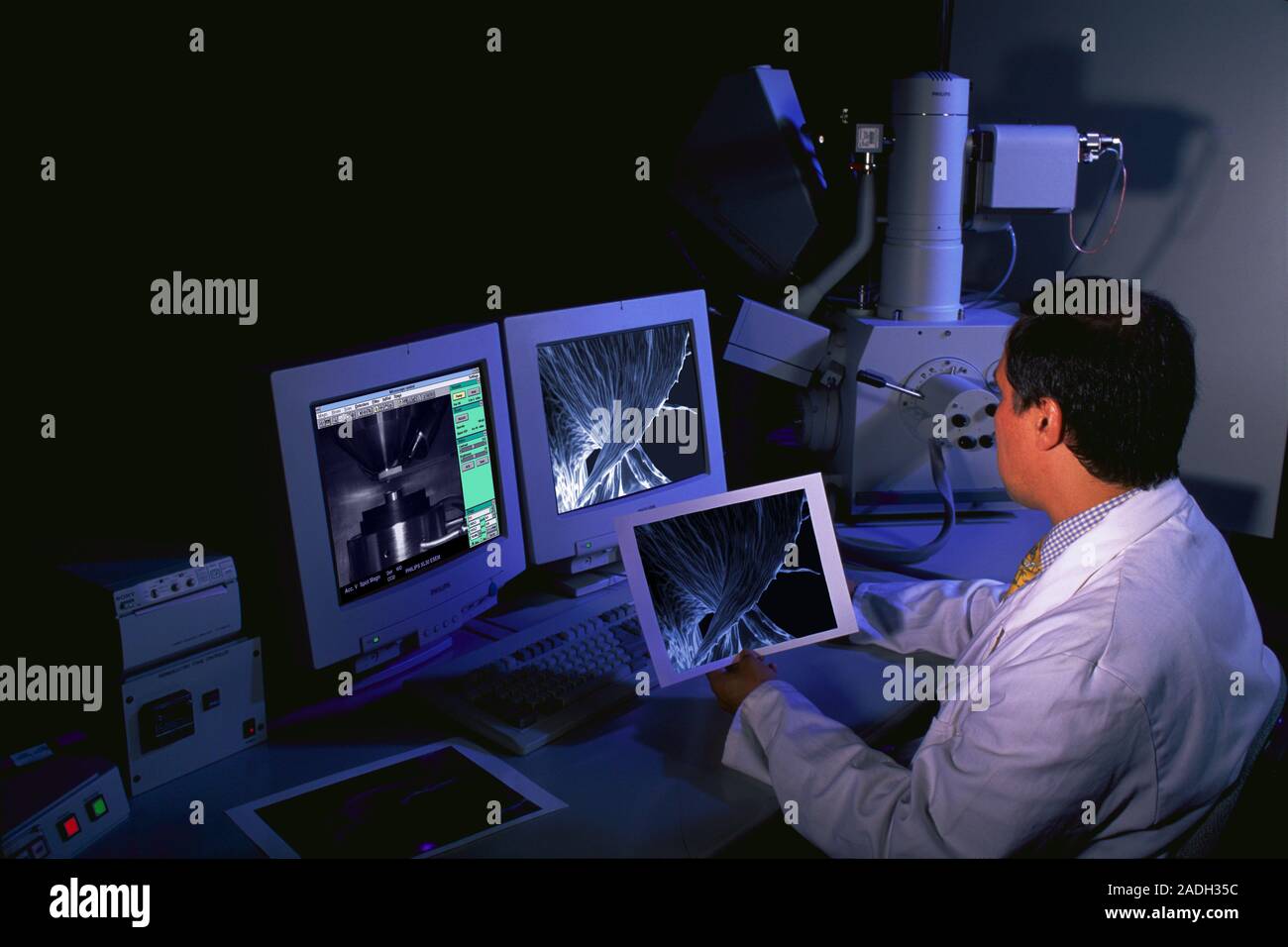 MODEL RELEASED. Scanning electron microscopy. Technician holds a ...