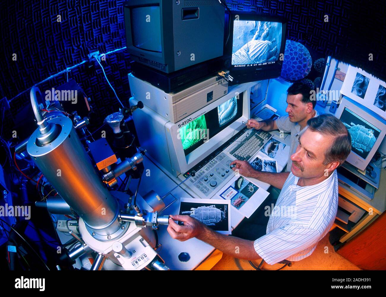 Scanning electron microscope (left) being used by two scientists to ...
