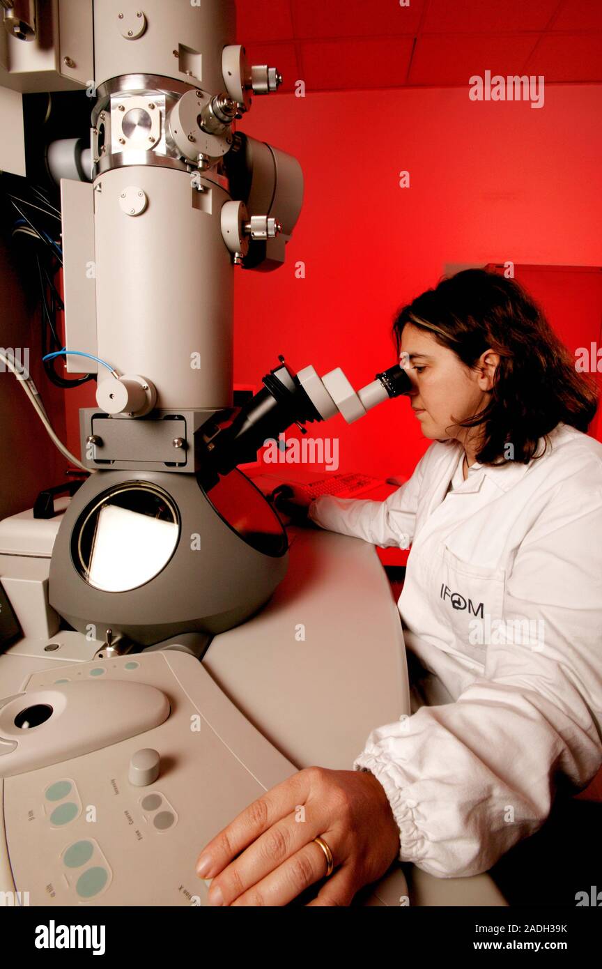 MODEL RELEASED. Transmission electron microscope. Scientist looking at ...