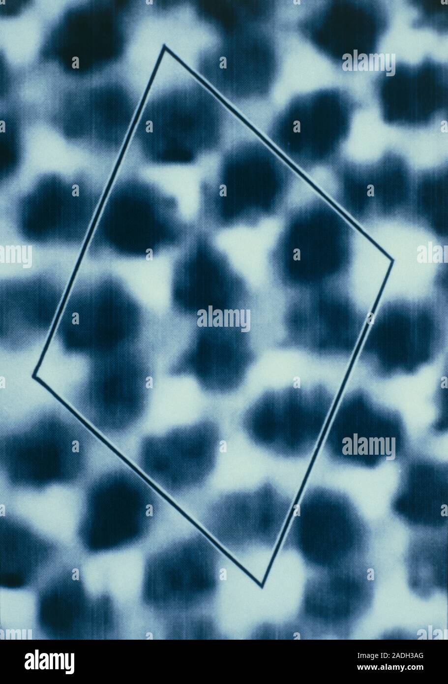 False-colour scanning tunnelling microscope image of atoms & electron ...