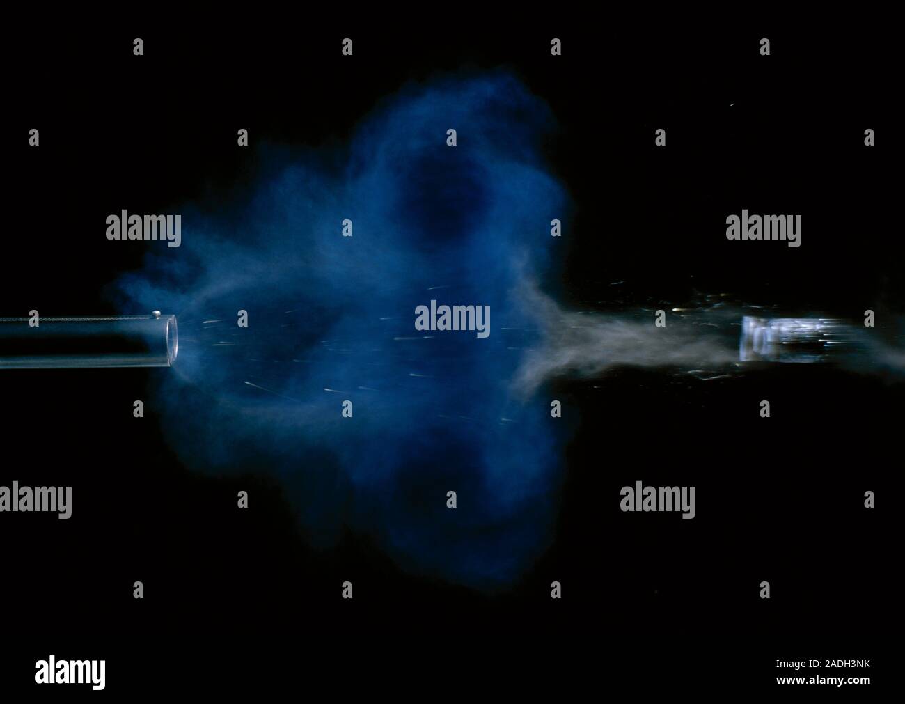 High speed photograph of the wad and shot leaving the muzzle of a 12 ...