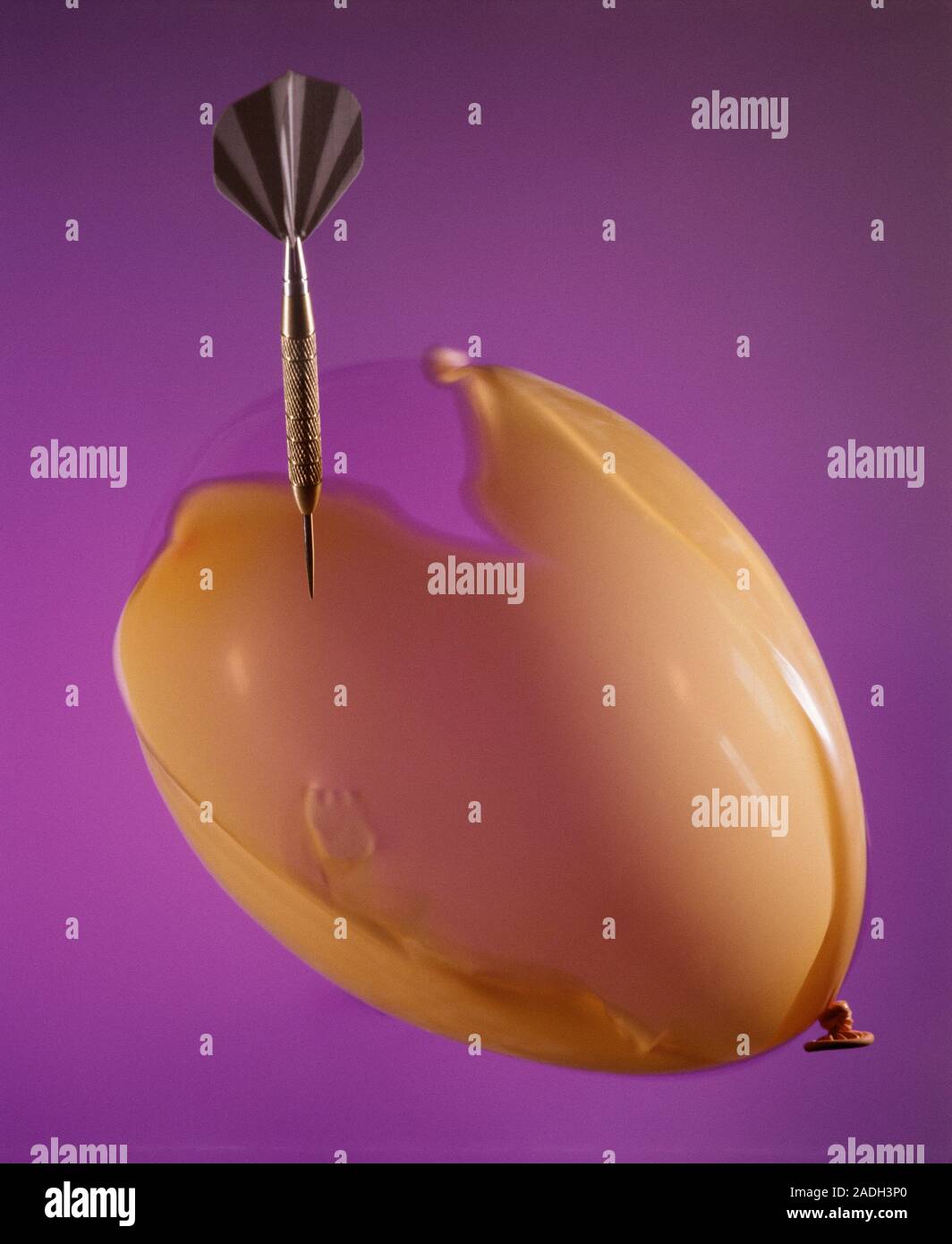 Dart bursting balloon. Double exposure of a balloon in its original ...