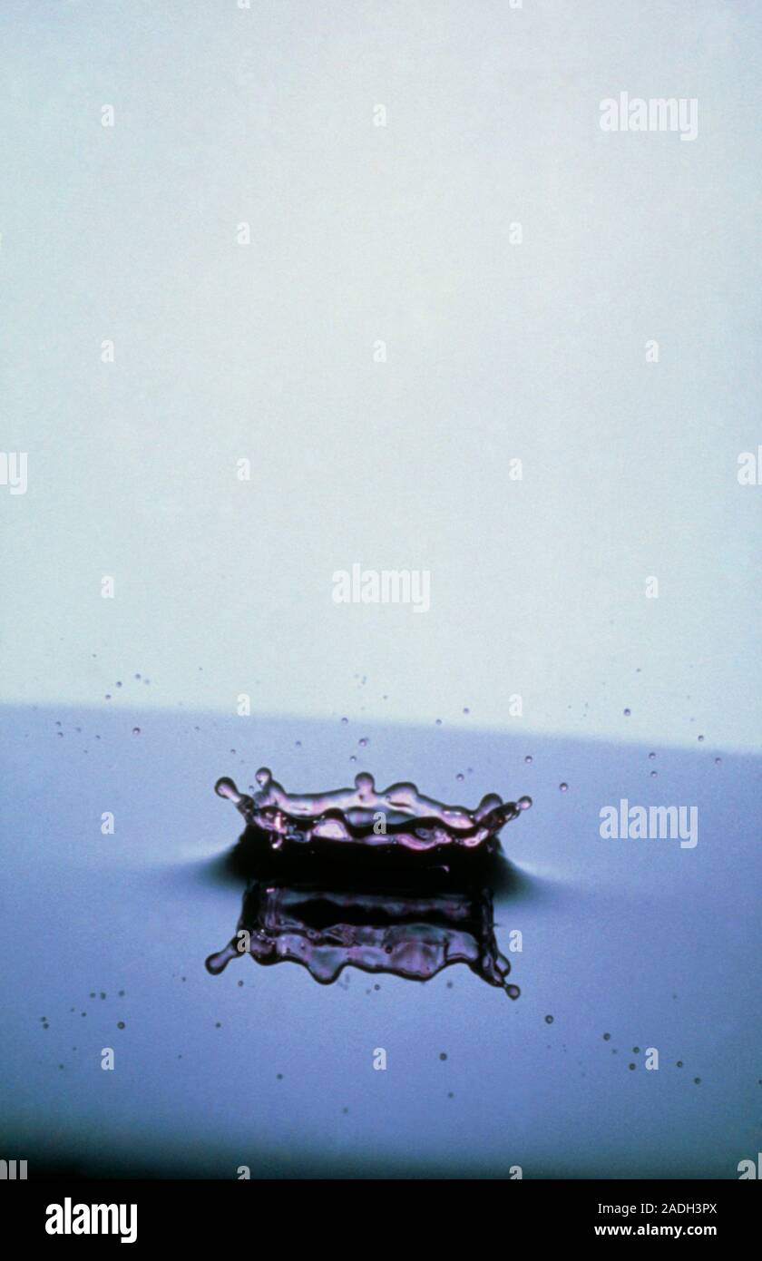 High speed flash photograph of a water drop falling into a pool of ...