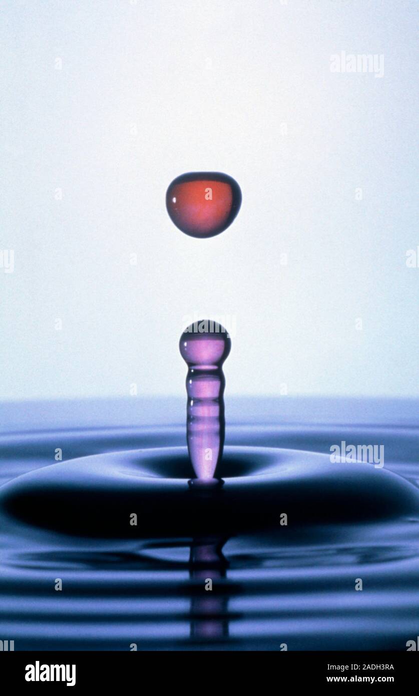 High speed photograph of secondary drop formation after the impact of a ...