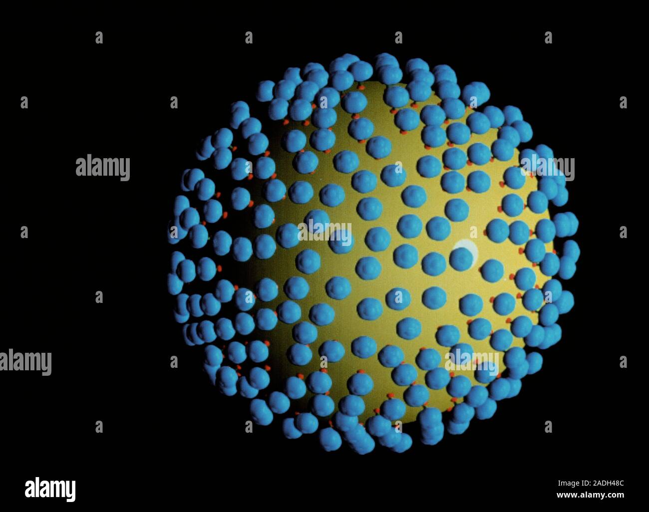 Computer graphics representation of the external structure of a virus ...
