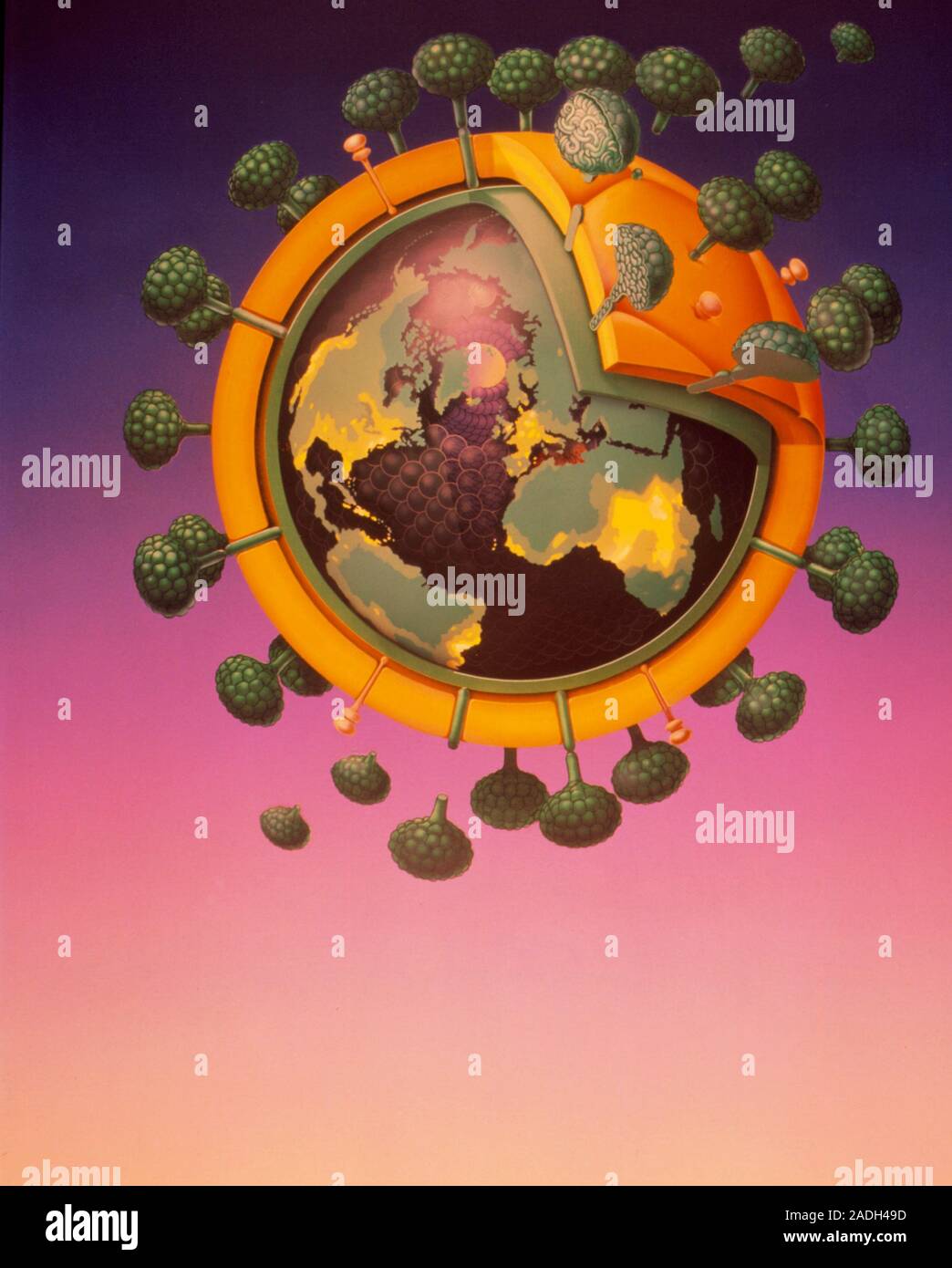 Illustration of a model for the basic structure of the Human ...