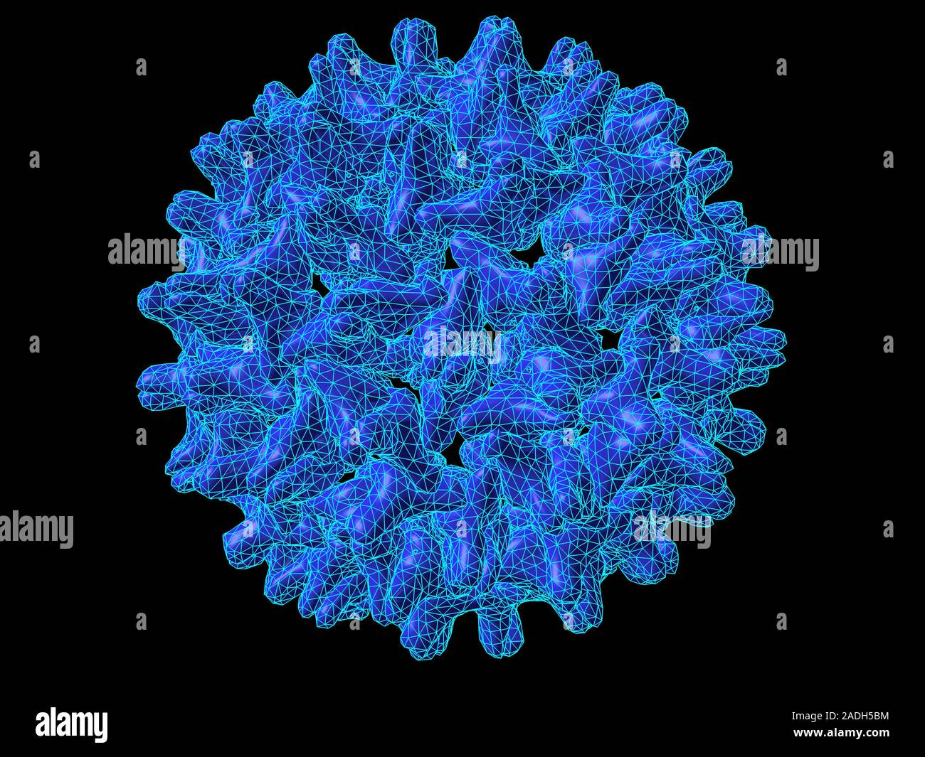 Hepatitis B virus particle. Computer artwork of the capsid of the ...