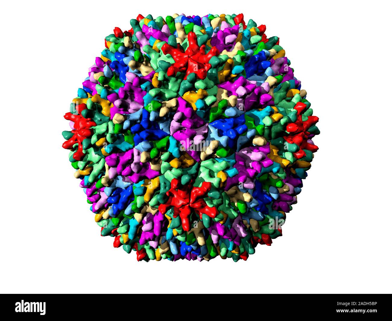 Infectious bursal disease virus particle. Computer artwork of the ...