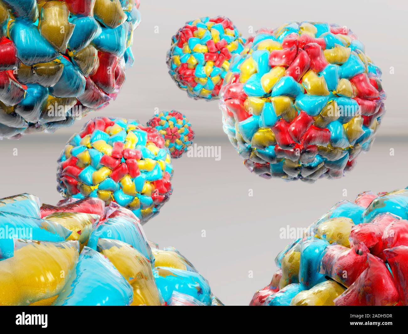 Rhinovirus particles, computer artwork. This virus consists of a ...