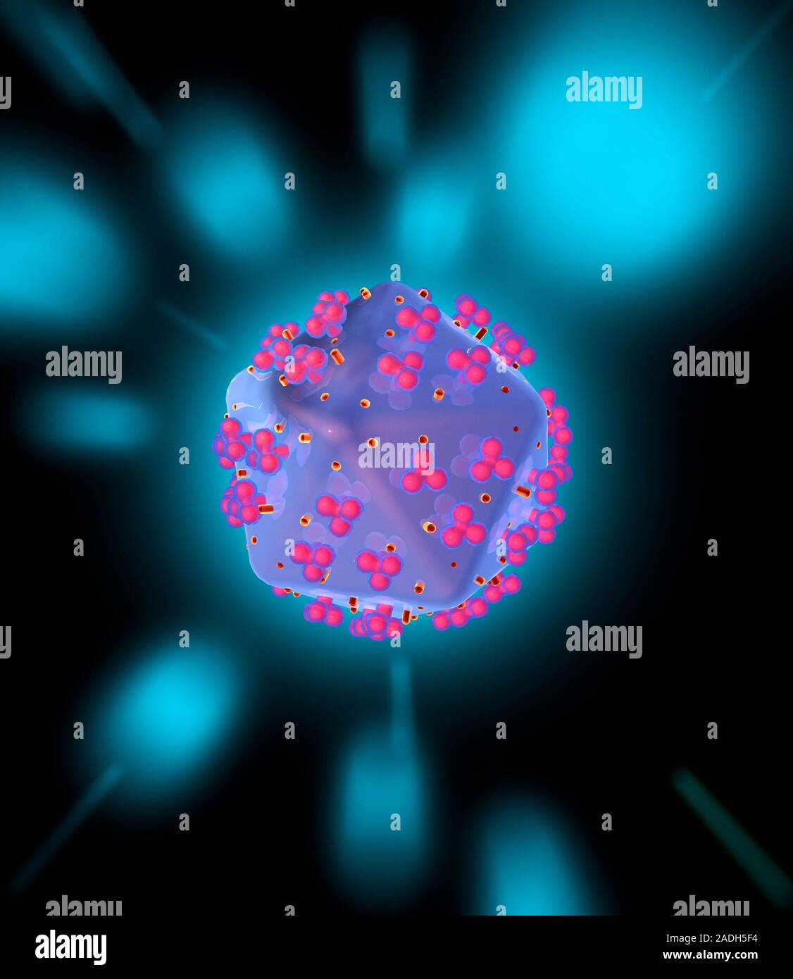 HIV particle, computer artwork. HIV (human immunodeficiency virus ...