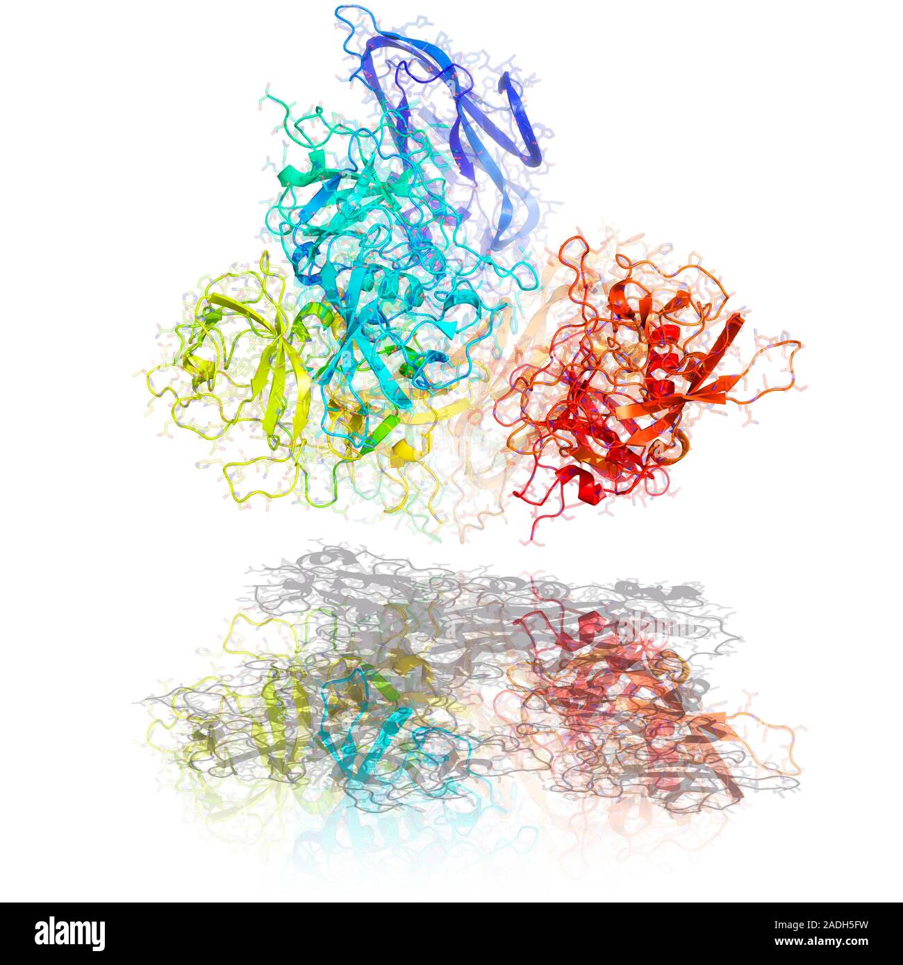 Norwalk virus capsid protein. Molecular model showing the secondary ... Norwalk virus capsid protein. Molecular model showing the secondary ...