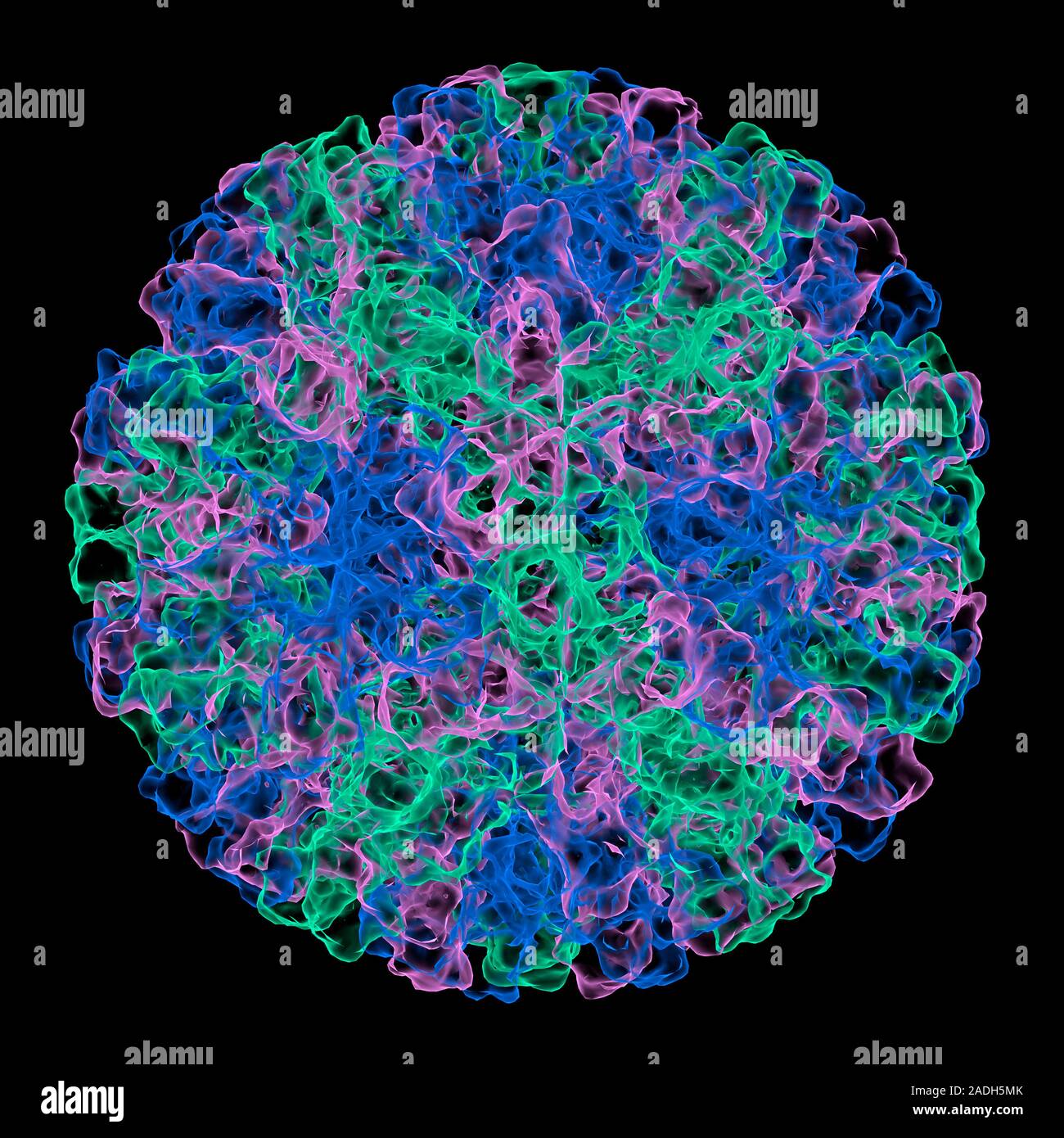 Norwalk virus. Artwork showing the surface structure of a Norwalk virus ... Norwalk virus. Artwork showing the surface structure of a Norwalk virus ...