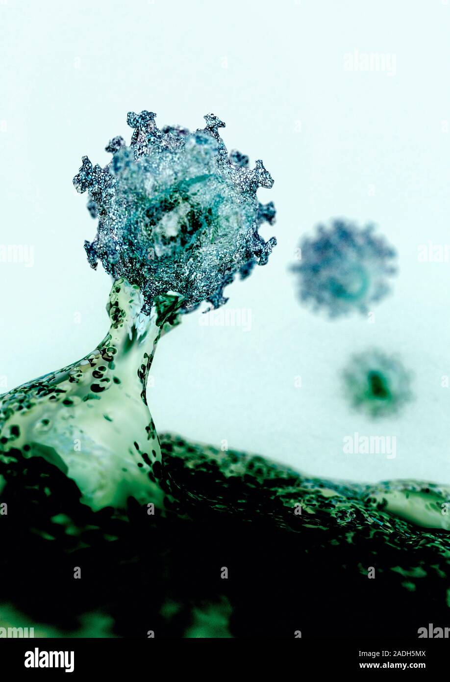 Budding HIV particle. Computer artwork of an HIV (human ...