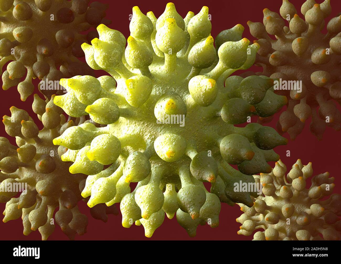 Human papilloma virus particles, computer artwork. Human papilloma ...