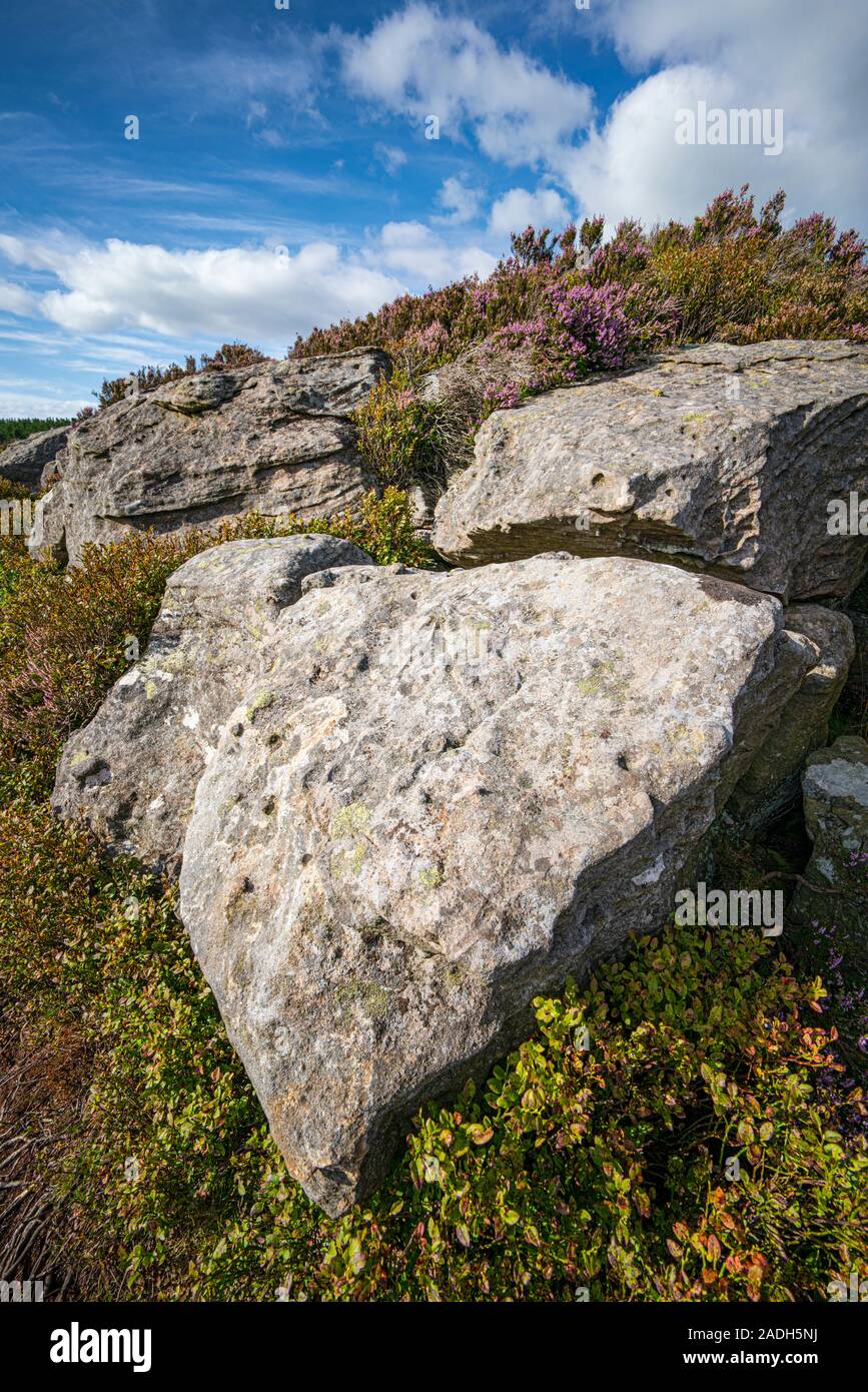 Harbottle moors hi-res stock photography and images - Alamy