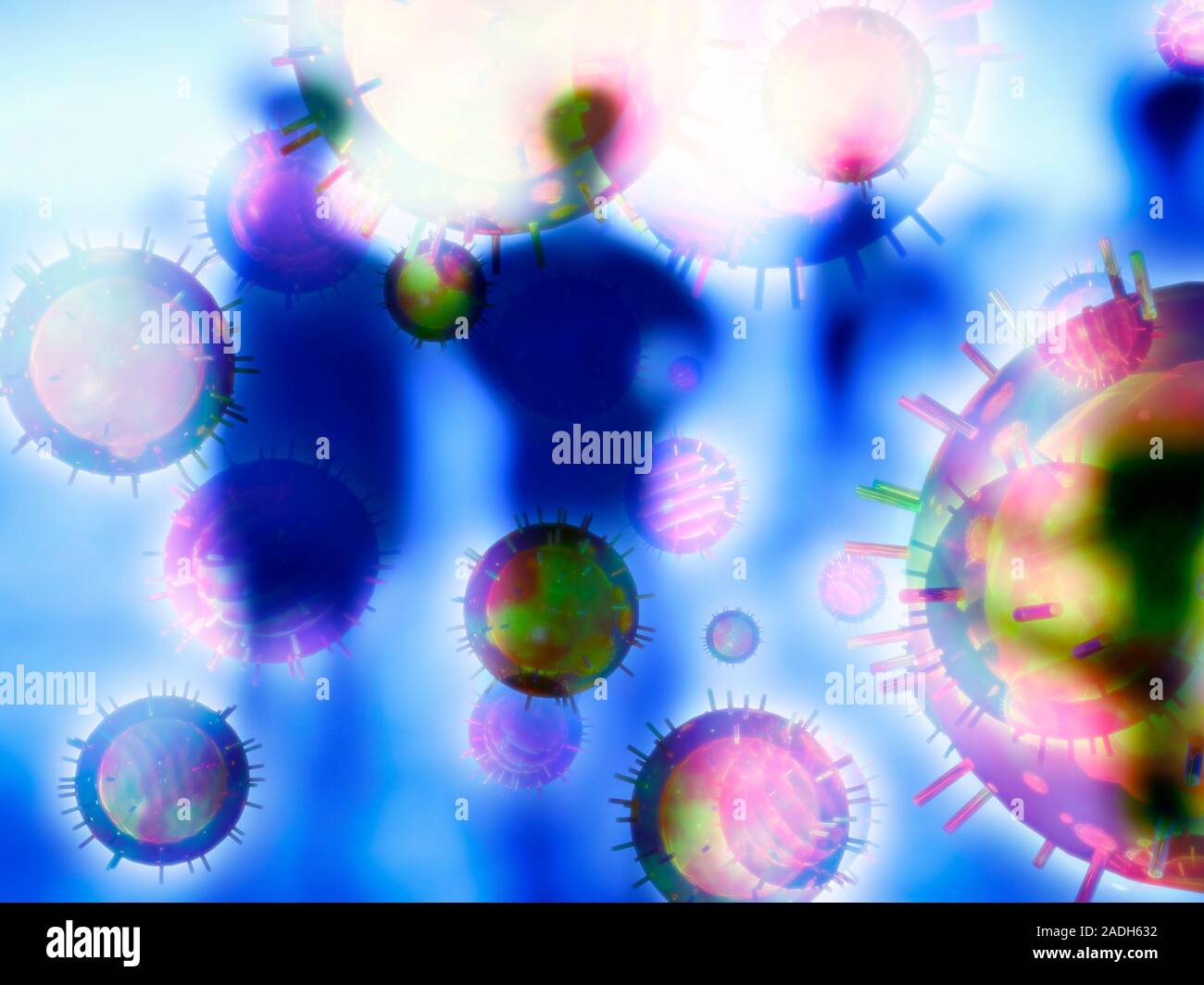 Influenza virus particles. Computer artwork of influenza (flu) virus ...