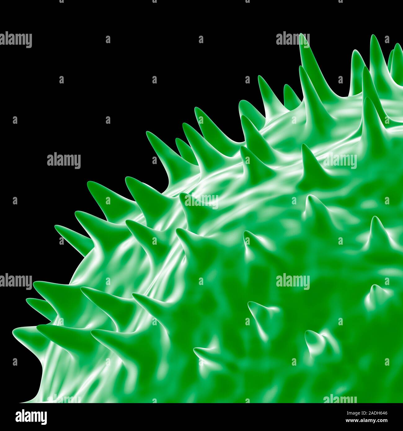 Influenza virus protein spikes. Computer artwork of part of the surface ...