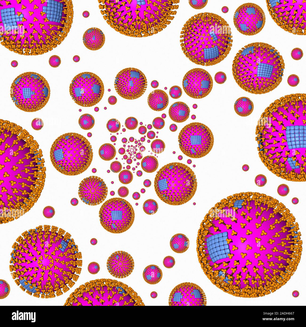 Influenza virus particles. Computer artwork of influenza (flu) virus ...