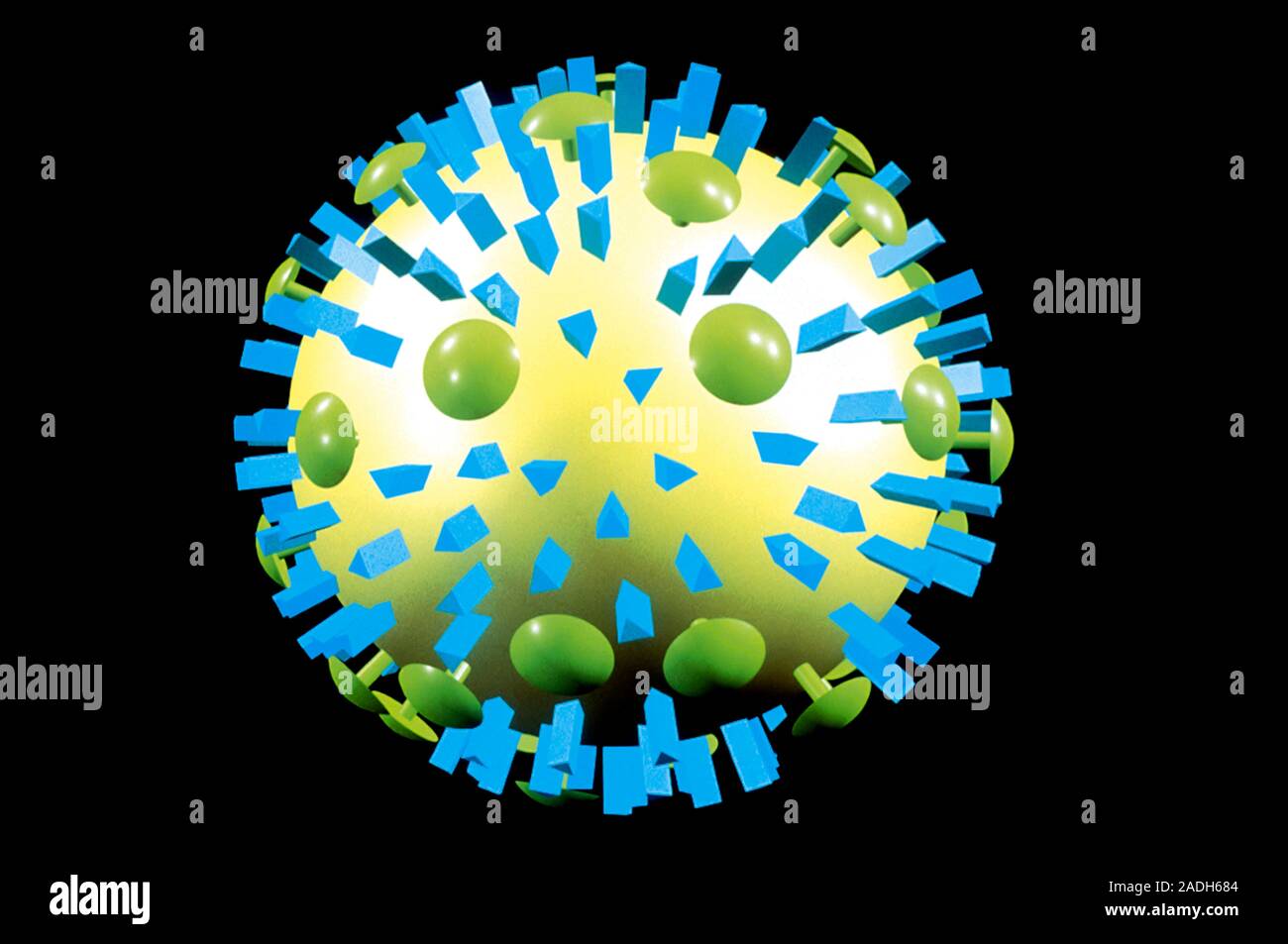 Influenza virus particle. Computer artwork of an influenza (flu) virus ...