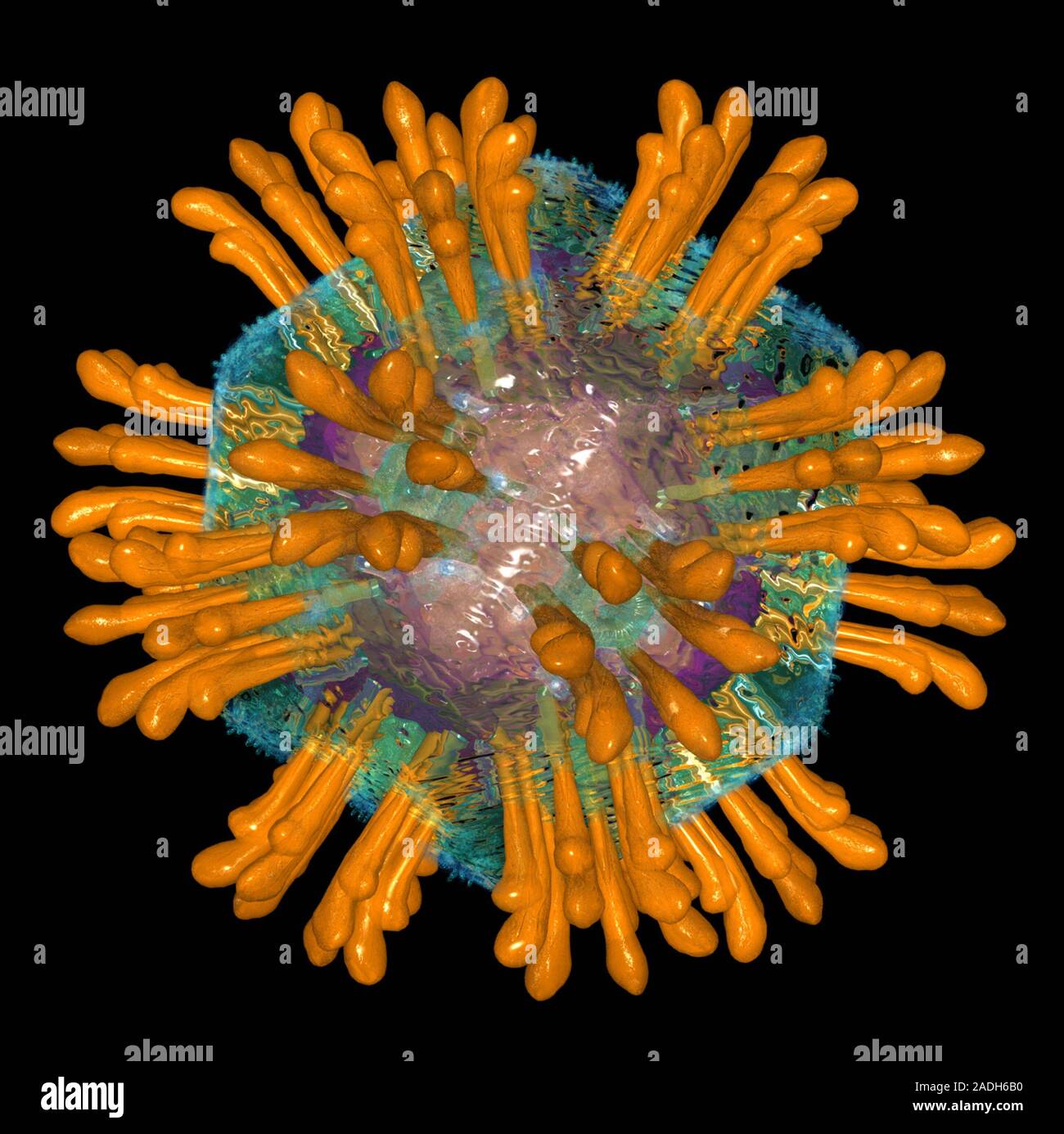 This image may not be used in educational posters Hepatitis C virus ...