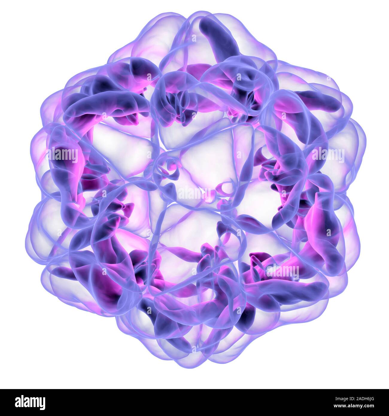 Satellite tobacco necrosis virus. Artwork showing the surface structure ...