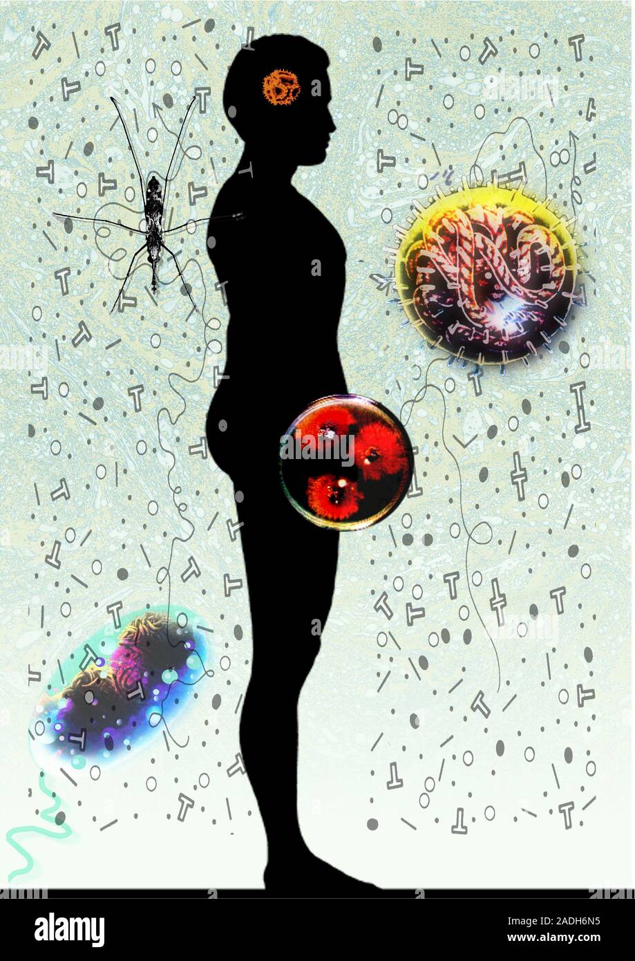 Human diseases. Artwork of a male silhouetted figure, surrounded by ...