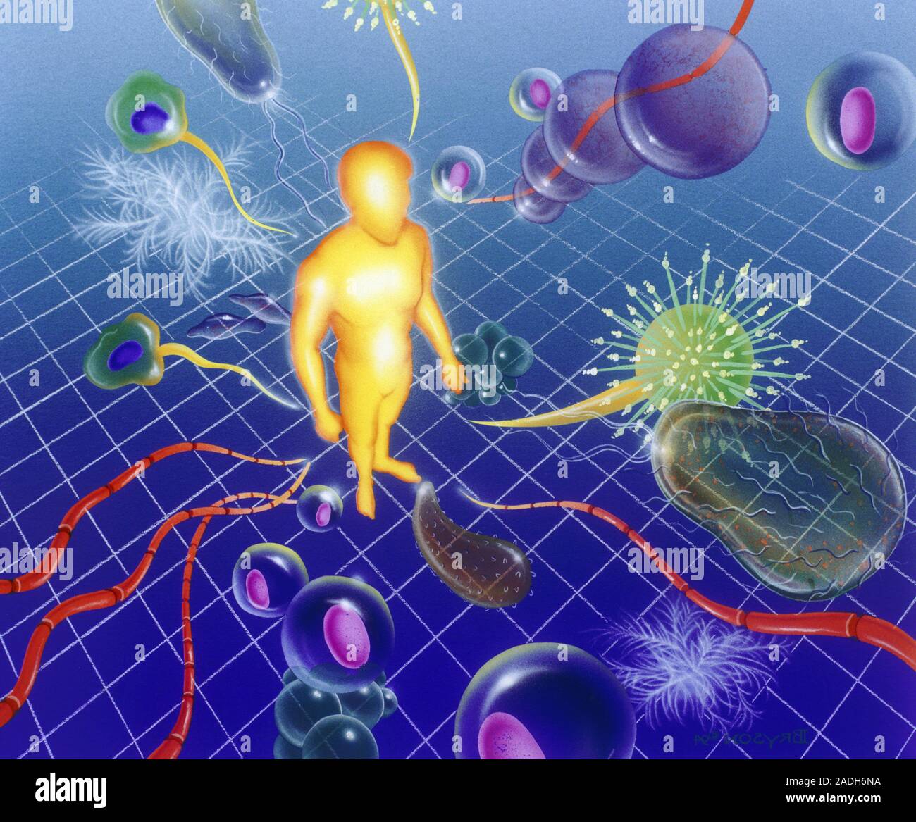 Human pathogens. Artwork of a human figure surrounded by disease ...