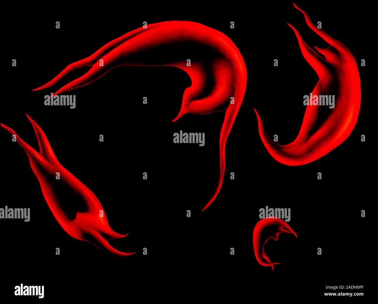 Artwork based on a scanning electron micrograph (SEM), showing deformed ...