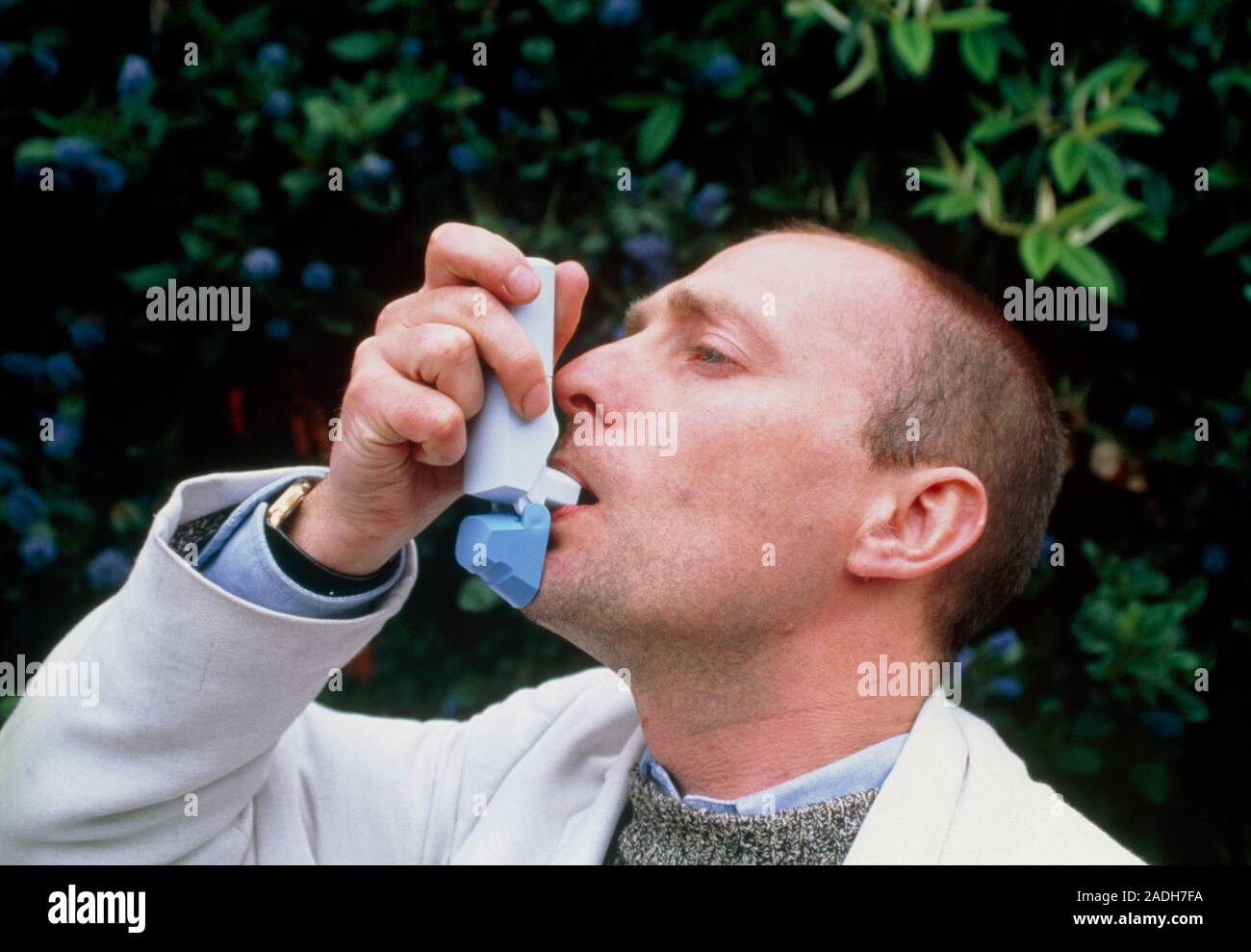 Inhaler for asthma. Man using an aerosol inhaler for the treatment of ...