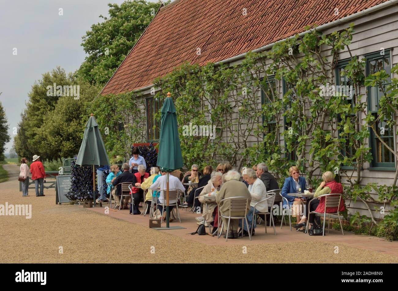 Wyken vineyards hi-res stock photography and images - Alamy