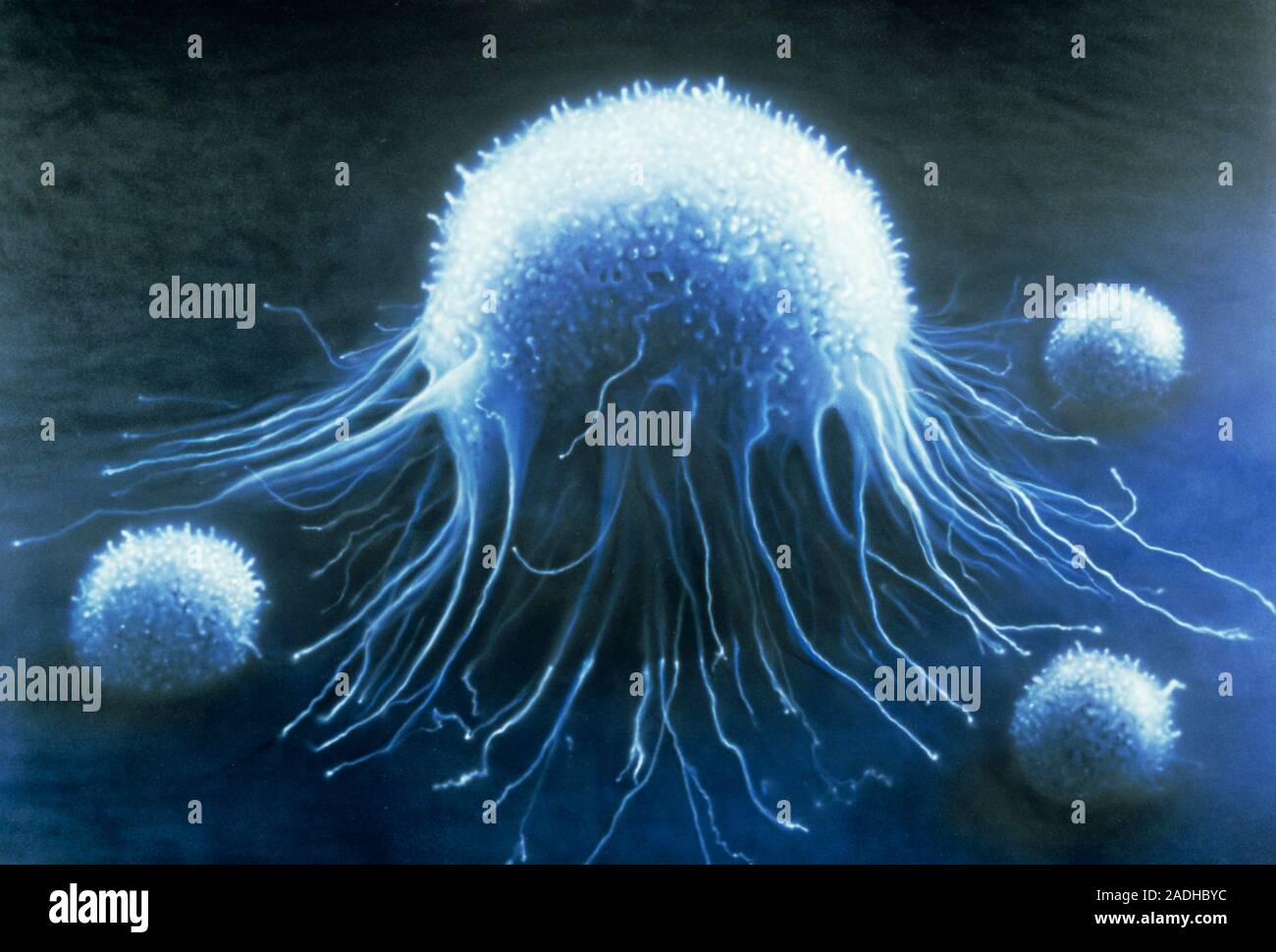 Artwork based on a scanning electron micrograph (SEM), showing a large ...