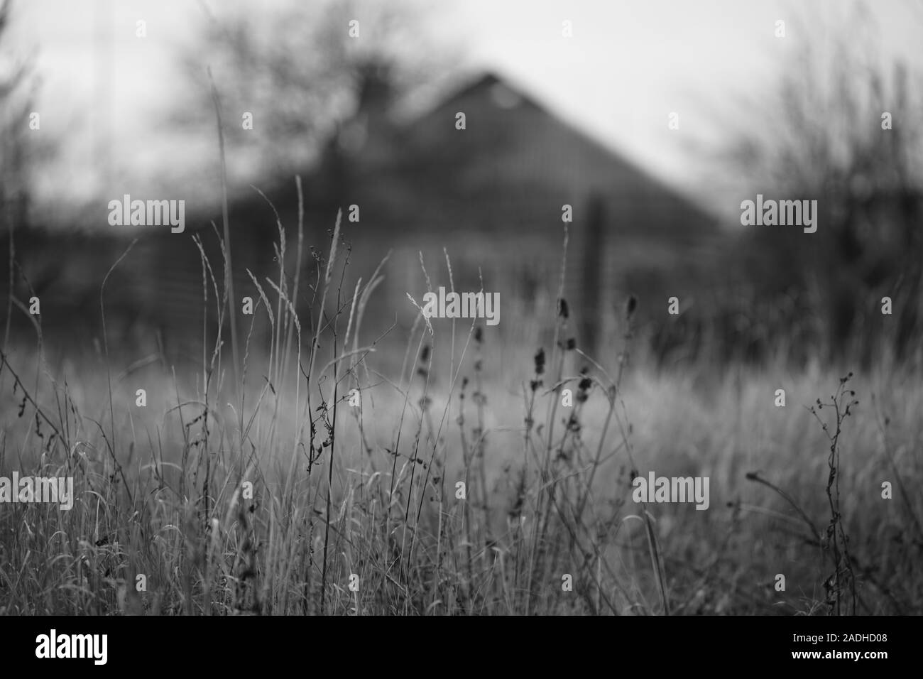 Dry meadow landscape Black and White Stock Photos & Images - Alamy