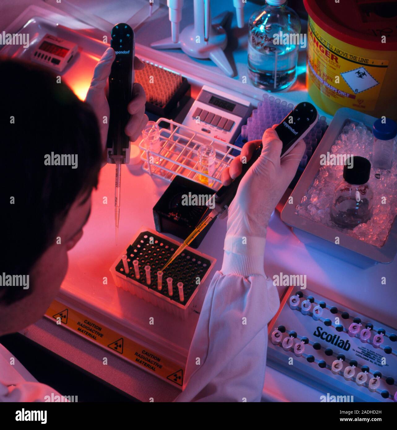 Cancer drug research. Male researcher using pipettes to test an ...