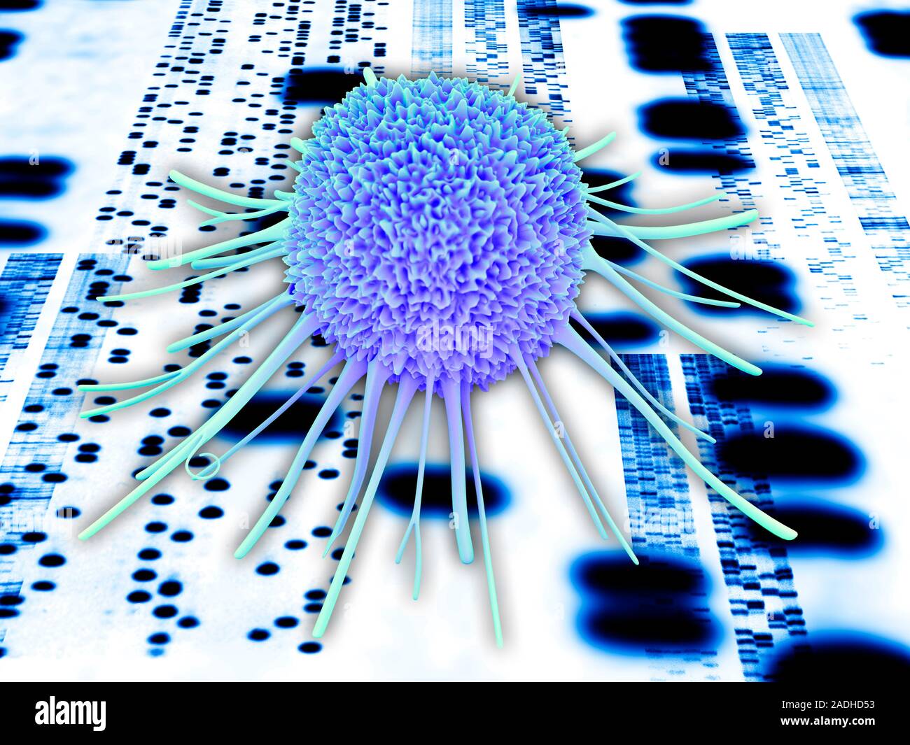 Cancer research. Computer artwork of a cancer cell on a DNA ...