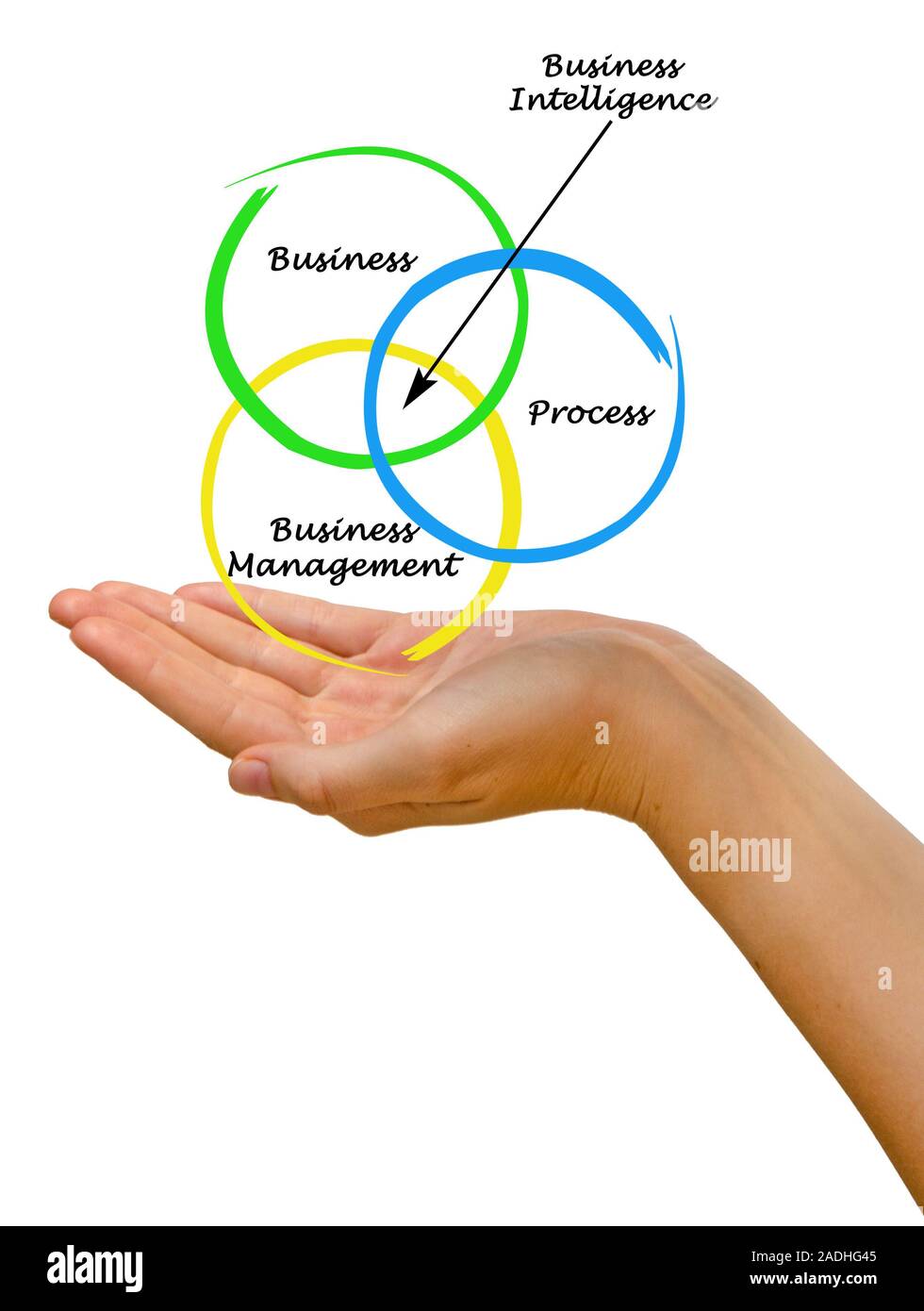 Diagram of Business Intelligence Stock Photo - Alamy