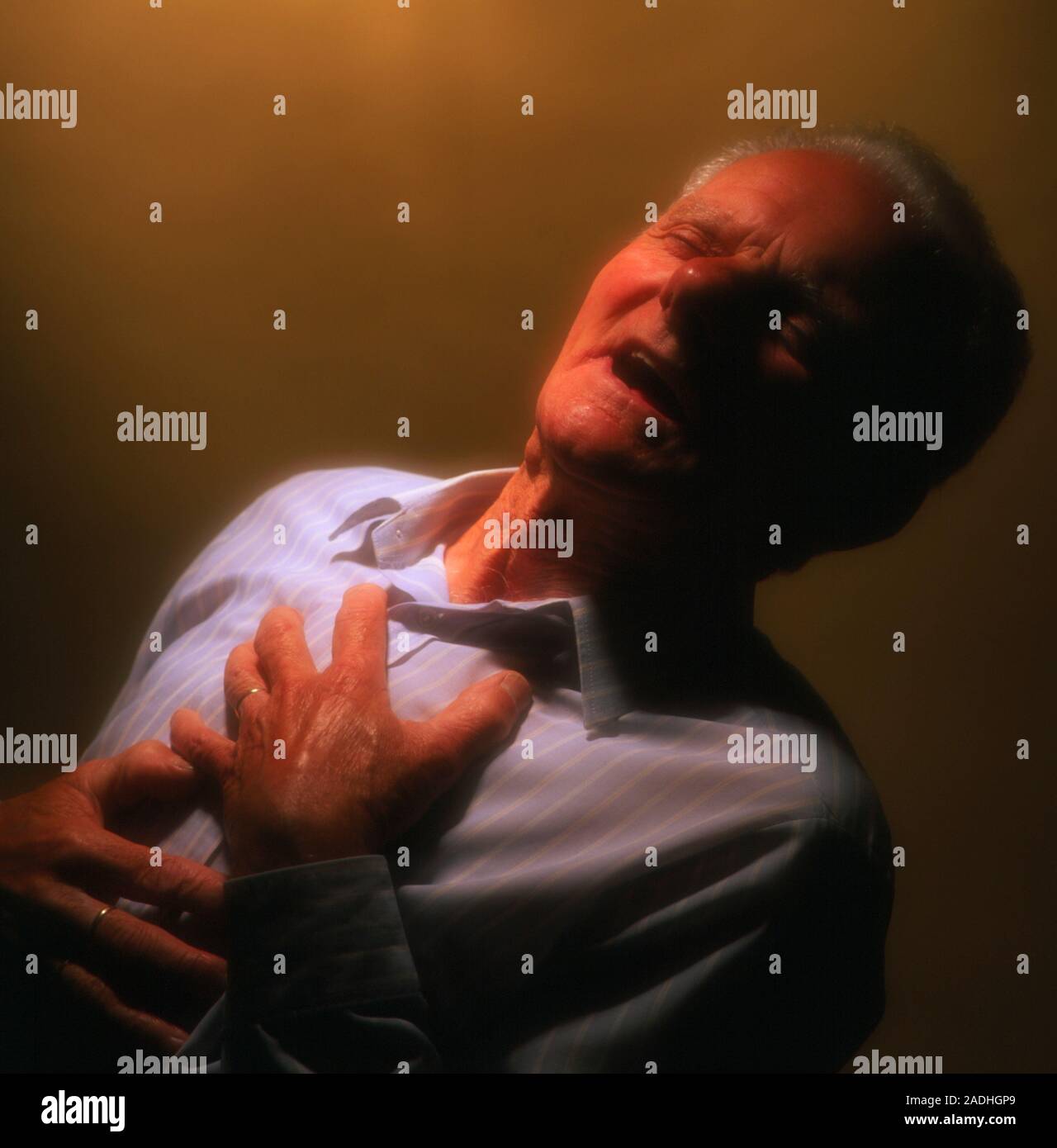 Angina or heart attack. Elderly man clutching his chest in pain during ...