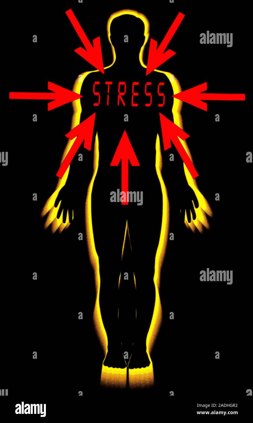Stress and heart disease. Conceptual artwork of a silhouette of a male ...