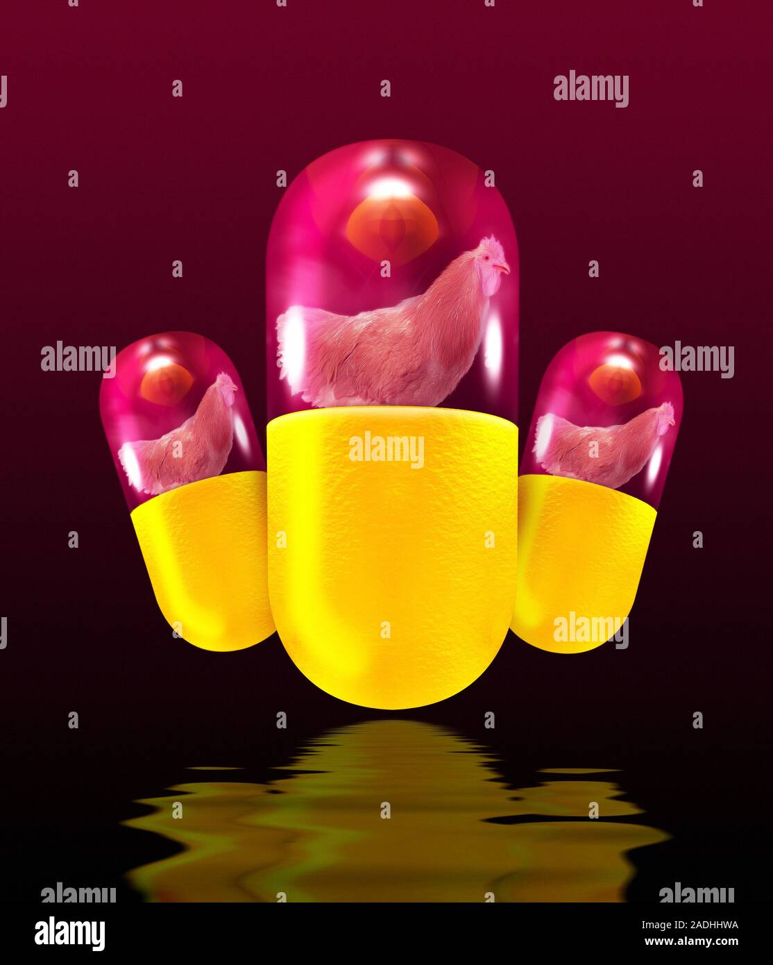 Avian flu. Conceptual computer artwork depicting chickens encased ...