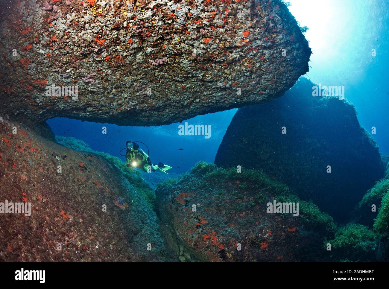 Scuba diver at a colourful rocky reef, nature reserve and marine park ...